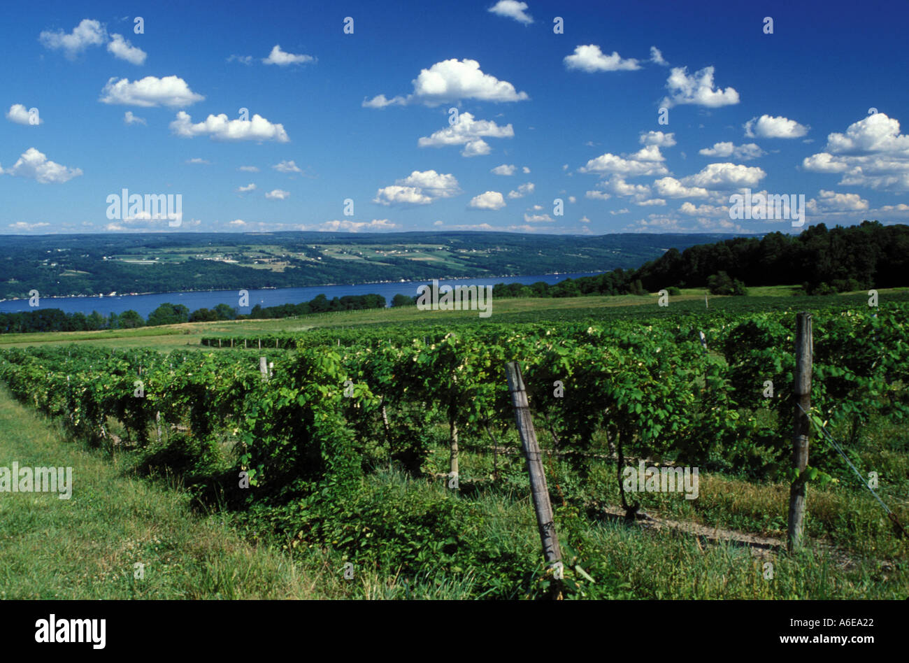 Dundee new york hi-res stock photography and images - Alamy