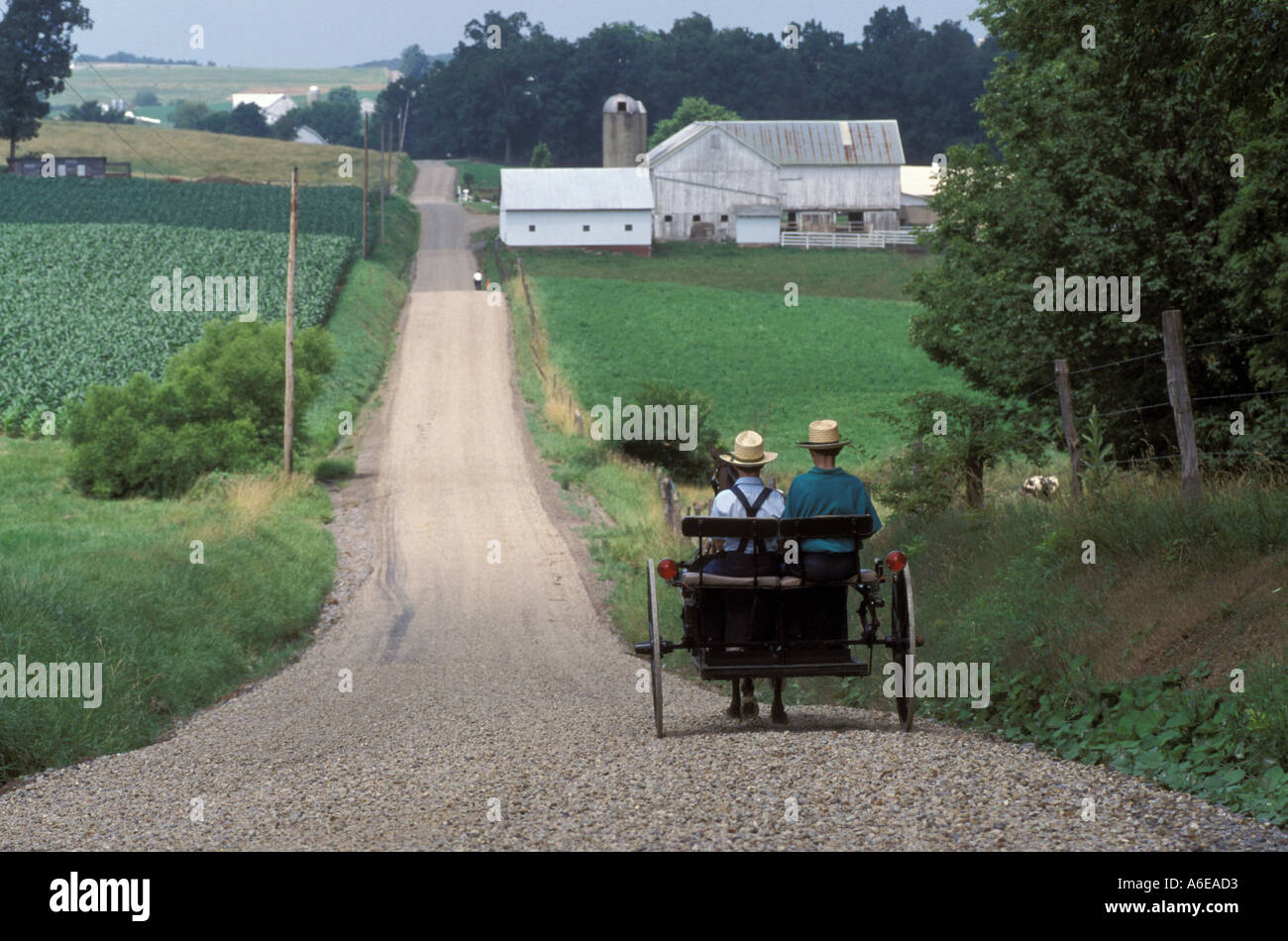 Holmes county amish scenic hi-res stock photography and images - Alamy