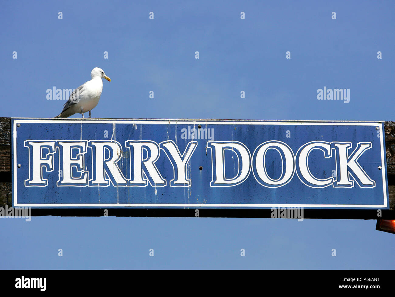 Seagull Sign High Resolution Stock Photography and Images - Alamy
