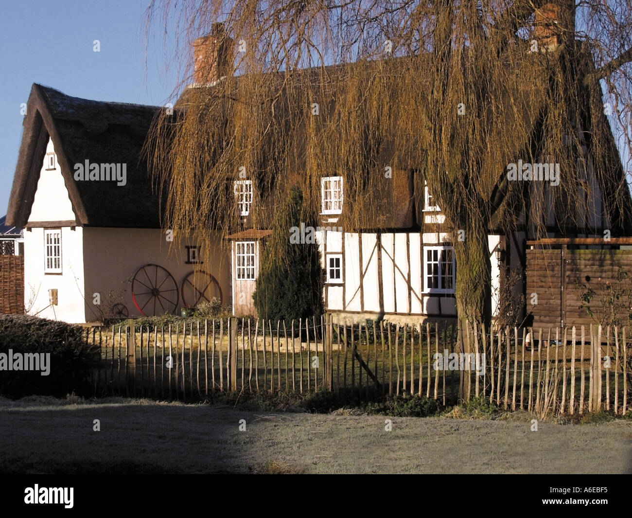 thatched cottage yelden village Stock Photo - Alamy