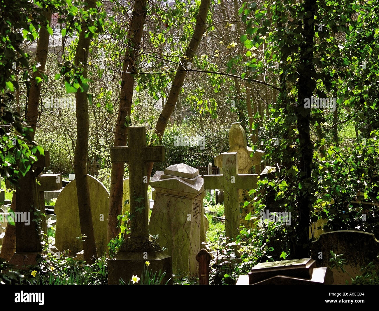 Highgate cemetary karl marx hi-res stock photography and images - Alamy