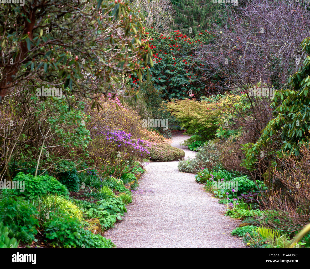Arduaine Gardens near Kilmelford, Argyll Stock Photo - Alamy