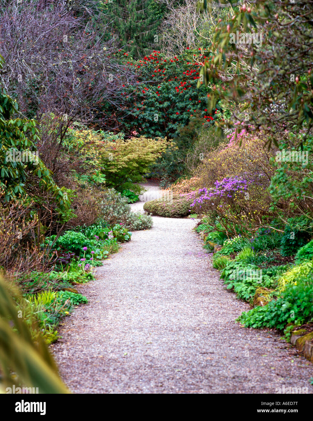 Arduaine Gardens near Kilmelford, Argyll Stock Photo - Alamy
