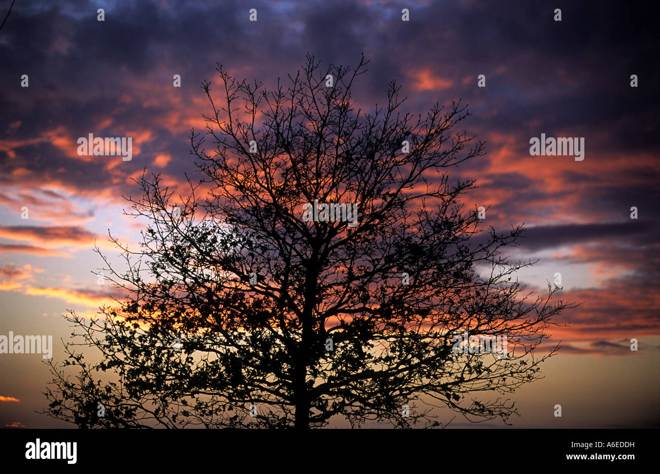 Suffolk night sky hi-res stock photography and images - Alamy