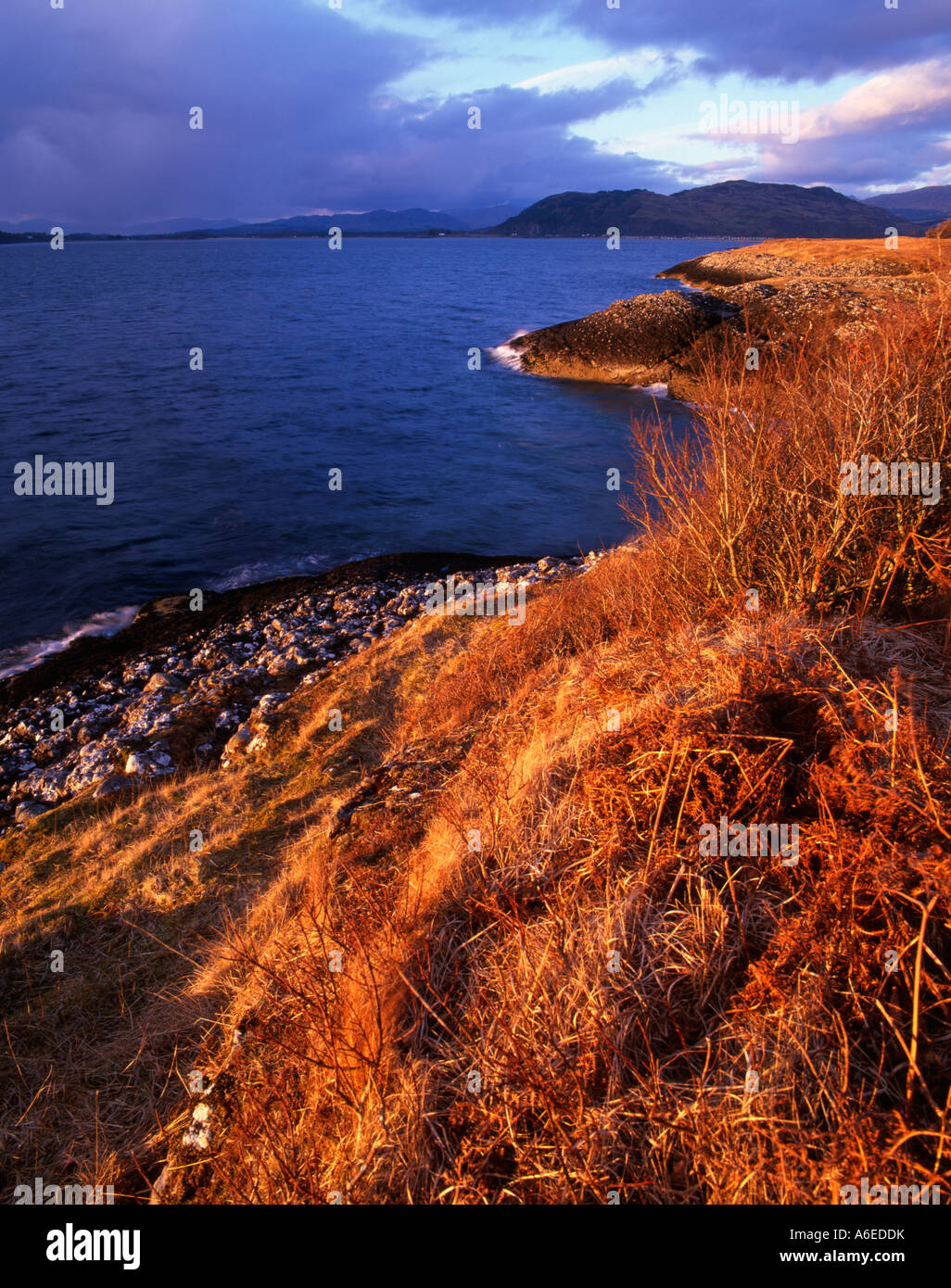Dunstaffnage beach hi-res stock photography and images - Alamy