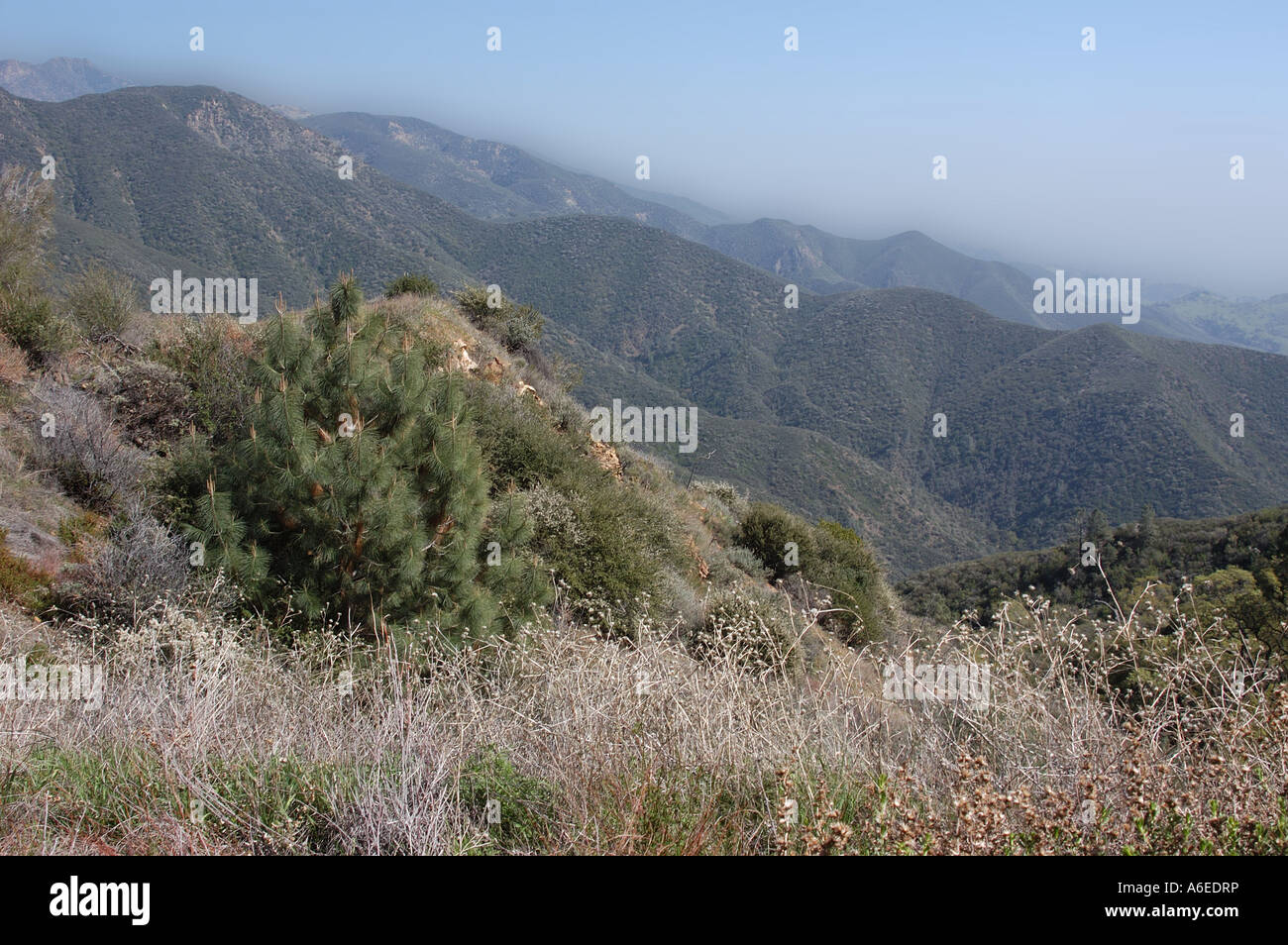 Rural California Landscape Stock Photo - Alamy
