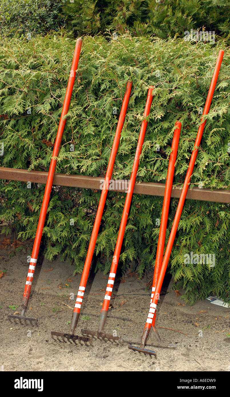 Garden work - Rakes standing beside the hedge Stock Photo - Alamy