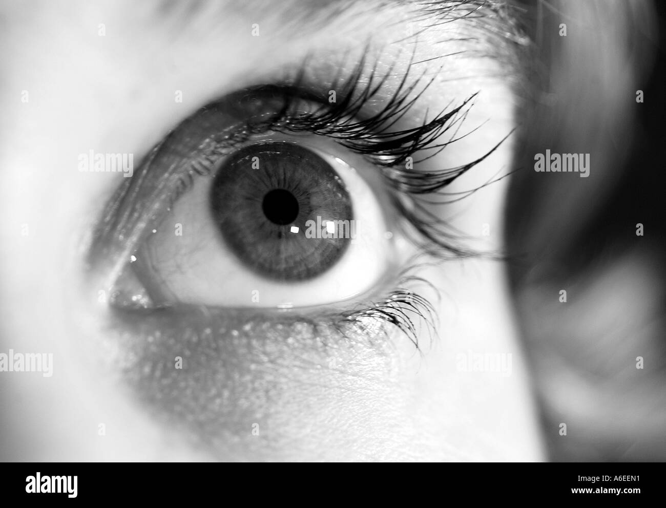 Eye picture Black and White Stock Photos & Images - Alamy