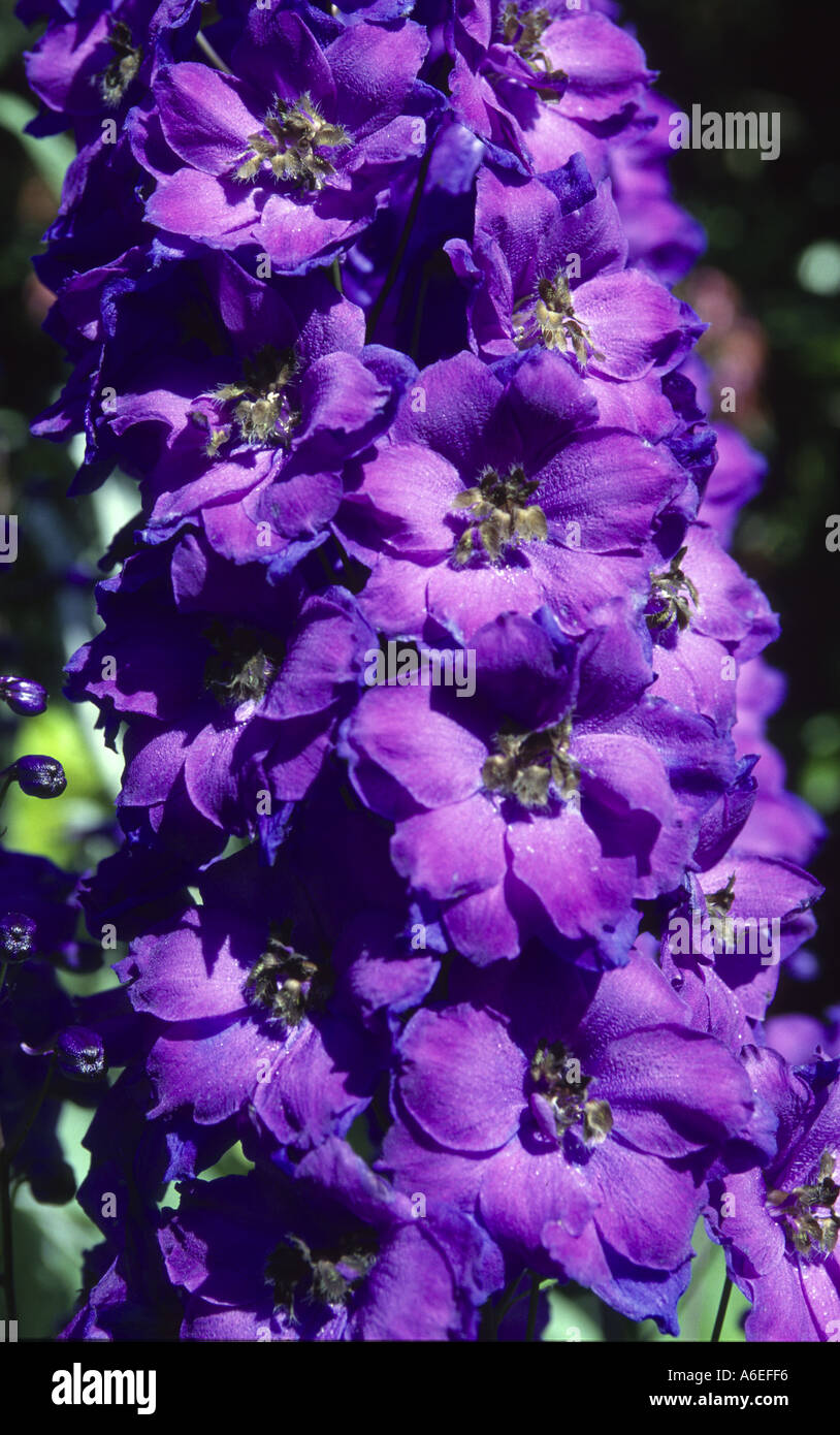 Filmscan hi-res stock photography and images - Alamy