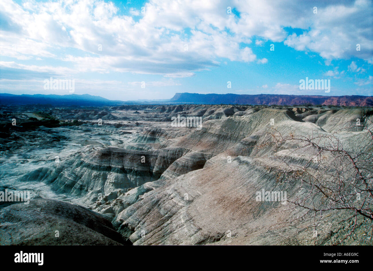 Ischigualasto triassic park hi-res stock photography and images - Alamy