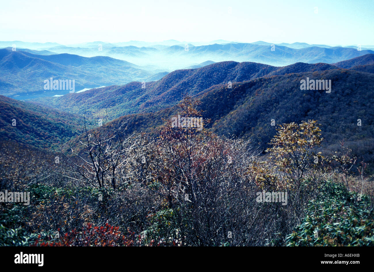 Great smokey mountains np hi-res stock photography and images - Alamy