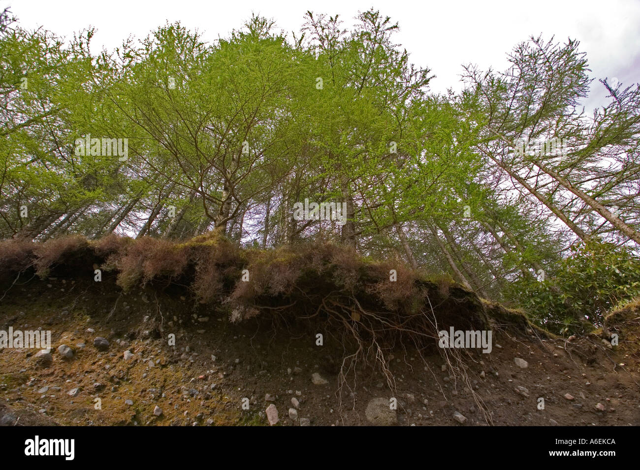 Driving around scotland hi-res stock photography and images - Alamy