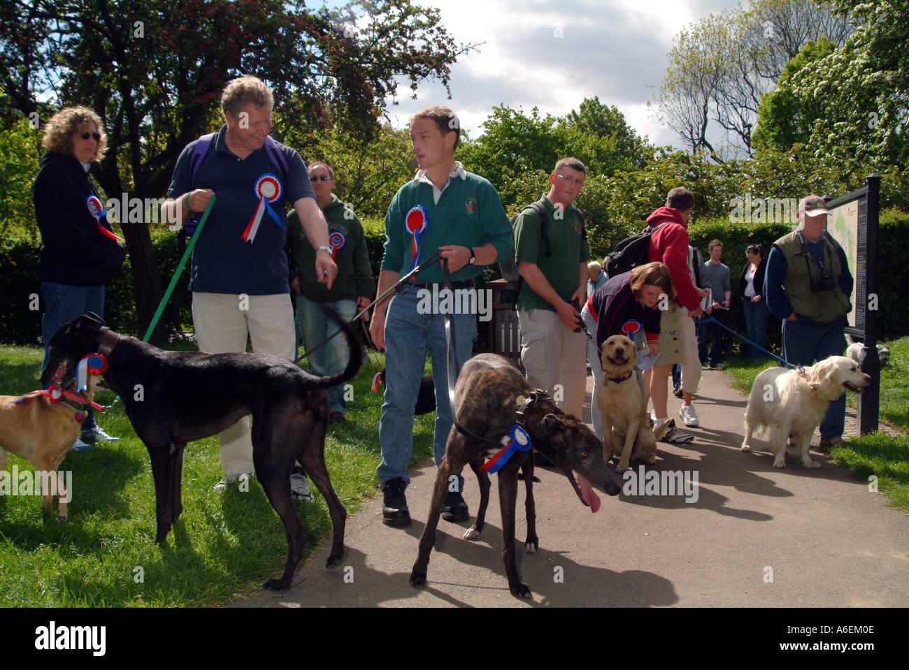 Organized walk park hi-res stock photography and images - Alamy