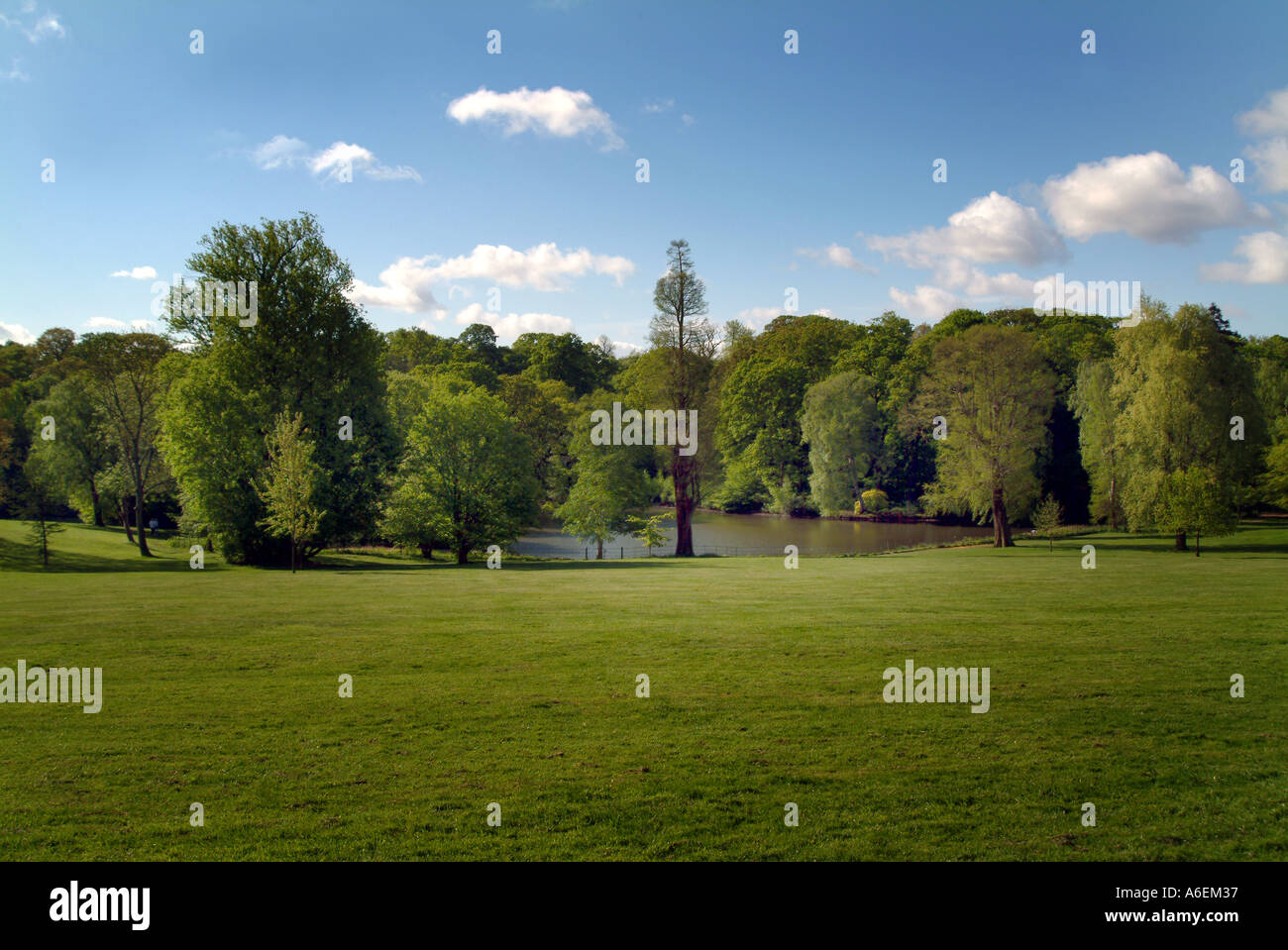 FOREST AND THE LAKE LONDON Stock Photo - Alamy