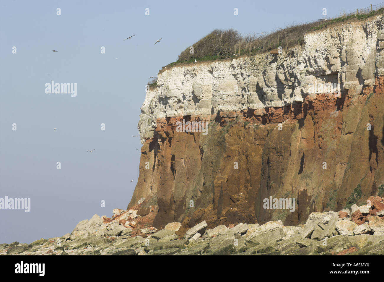 Hunstanton cliffs in Norfolk UK showing the red chalk white chalk and ...