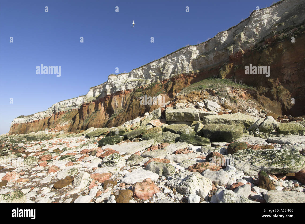 Hunstanton cliffs in Norfolk UK showing the red chalk white chalk and ...