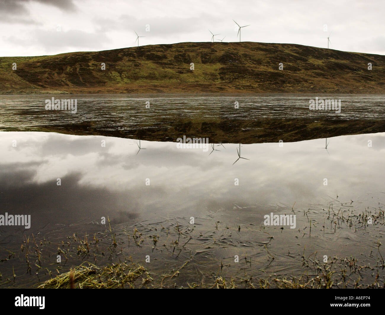 Reflections Tingwall Loch Shetland Stock Photo - Alamy