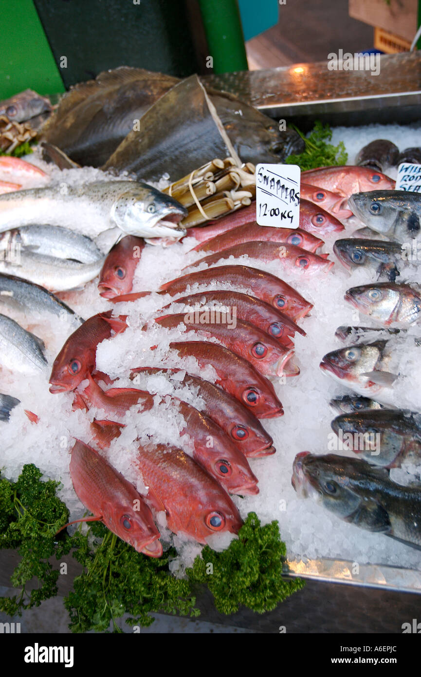 Fish at market stand Stock Photo - Alamy
