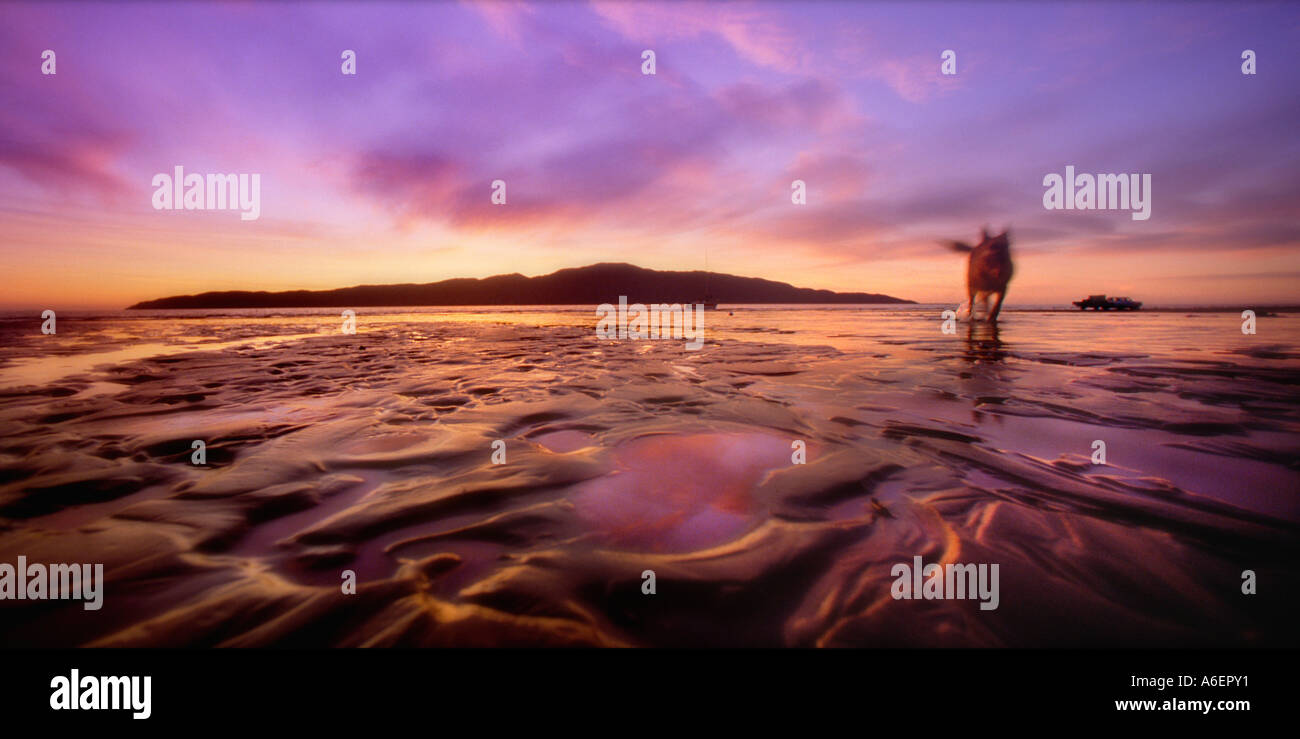 Beach frolics hi-res stock photography and images - Alamy