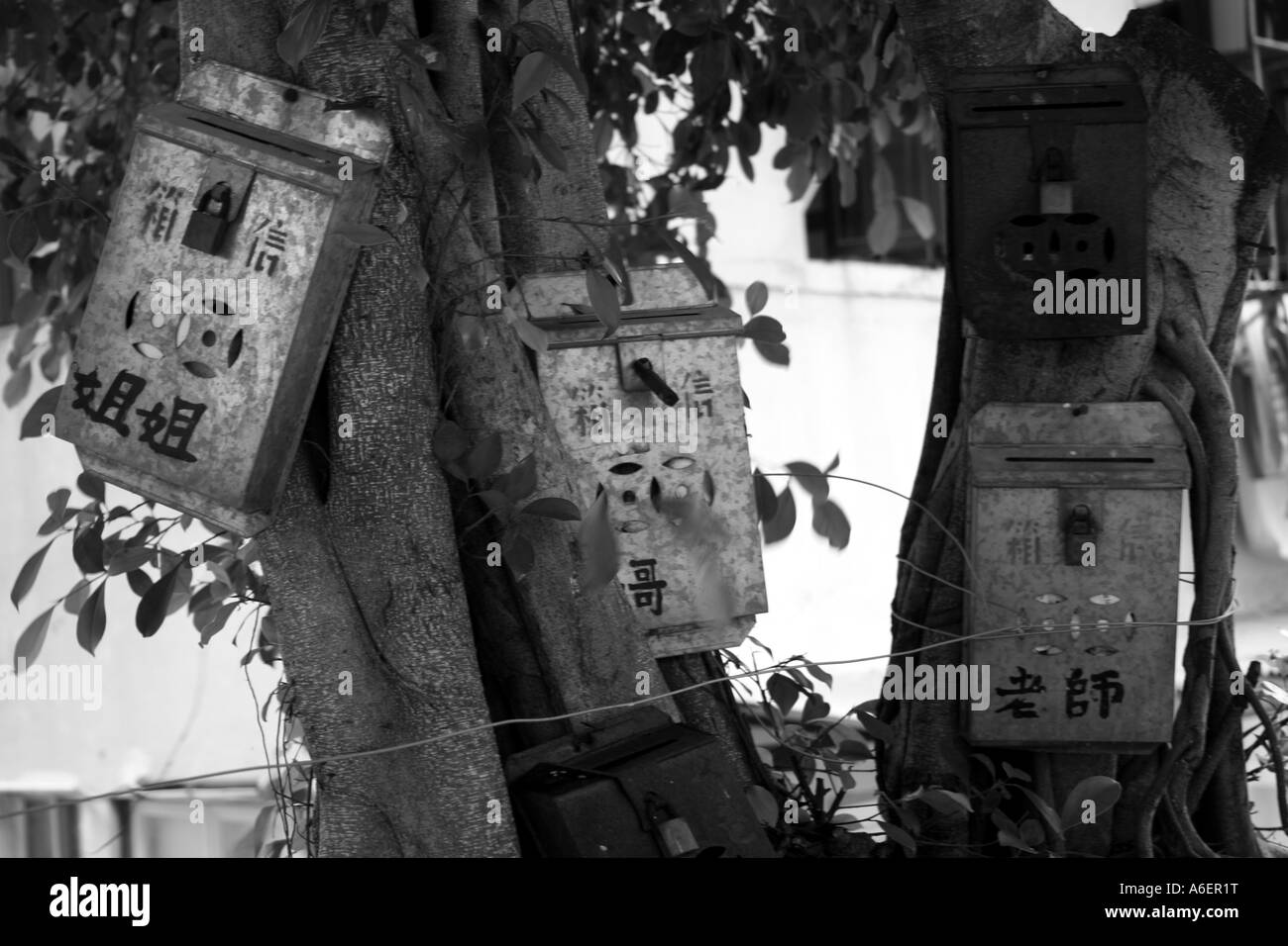 Letter boxes with Chinese characters meaning "Sister", "Brother" and ...