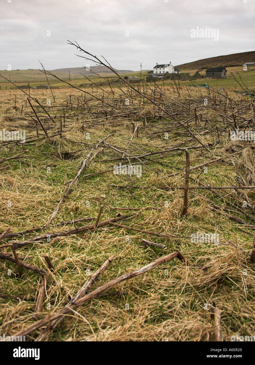 Croft House Spiggie Shetland Stock Photo - Alamy