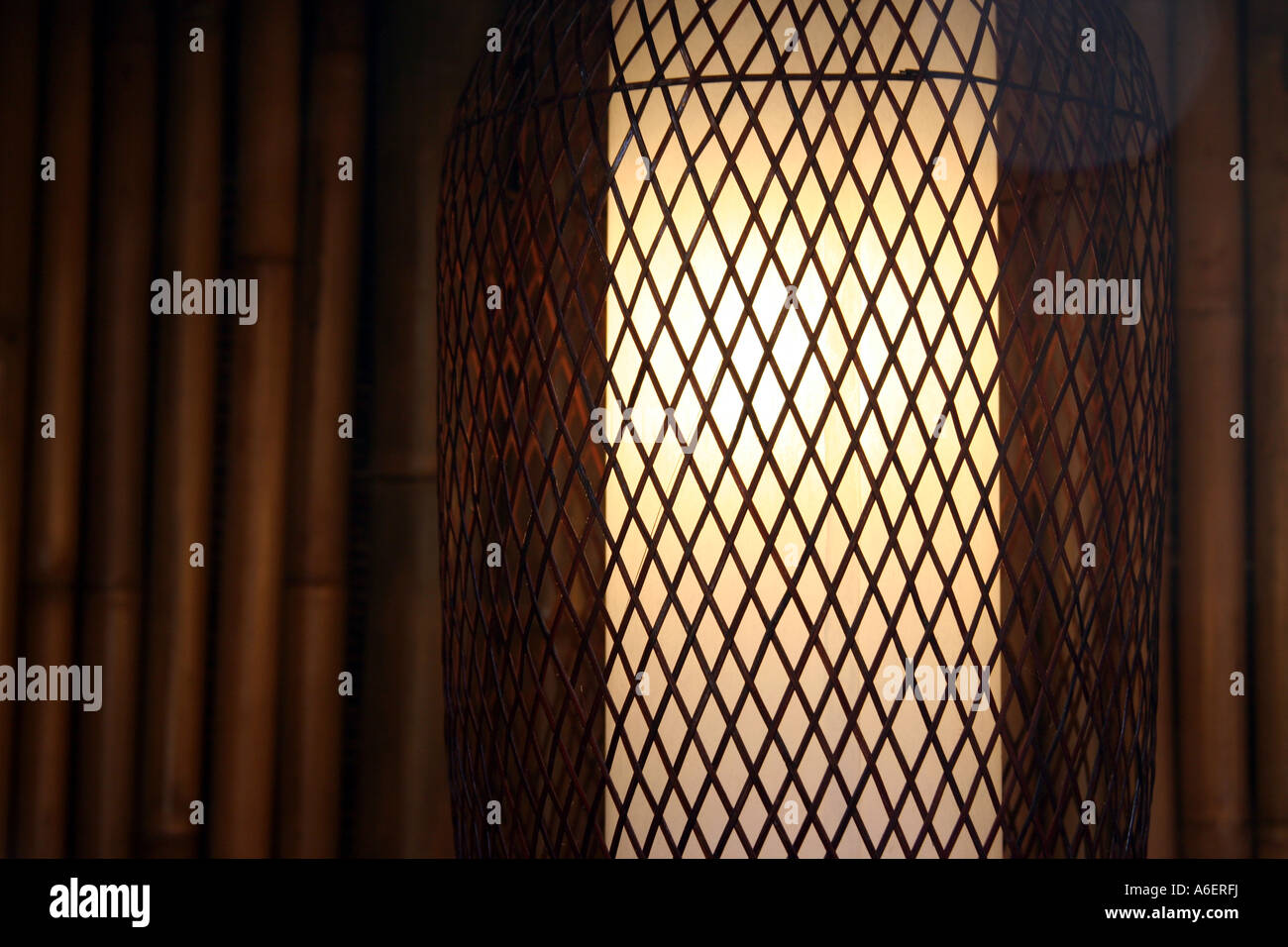 Bamboo and Light Stock Photo - Alamy