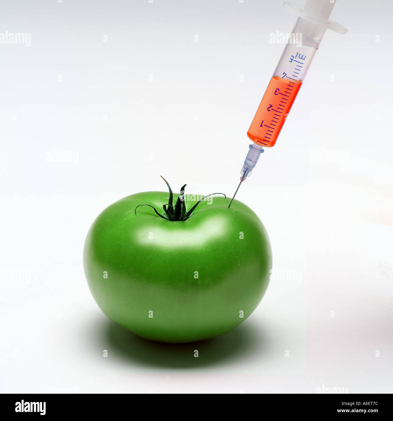 GREEN TOMATO BEING INJECTED A RED LIQUID BY AN HYPODERMIC NEEDLE Stock ...