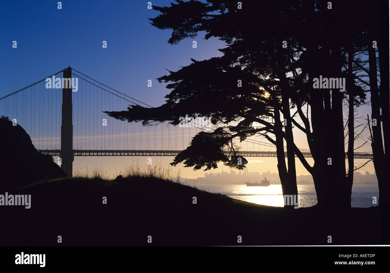 USA, California, San Francisco, Golden Gate Bridge, Monterey Cypress ...