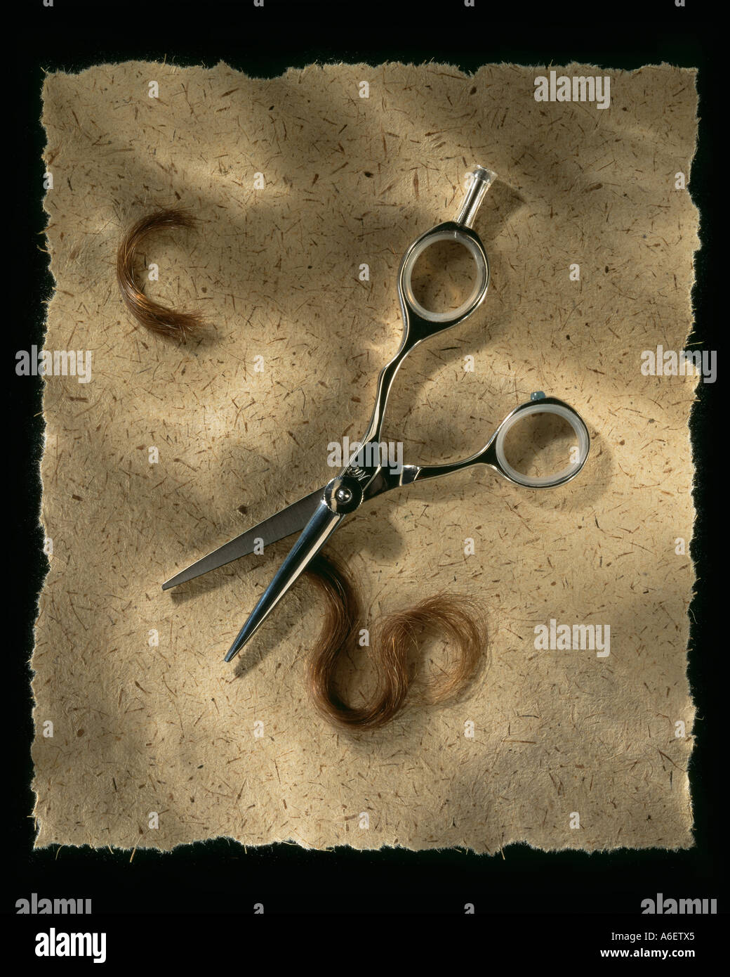 Still life image of hairdressing scissors with a lock of hair Stock ...