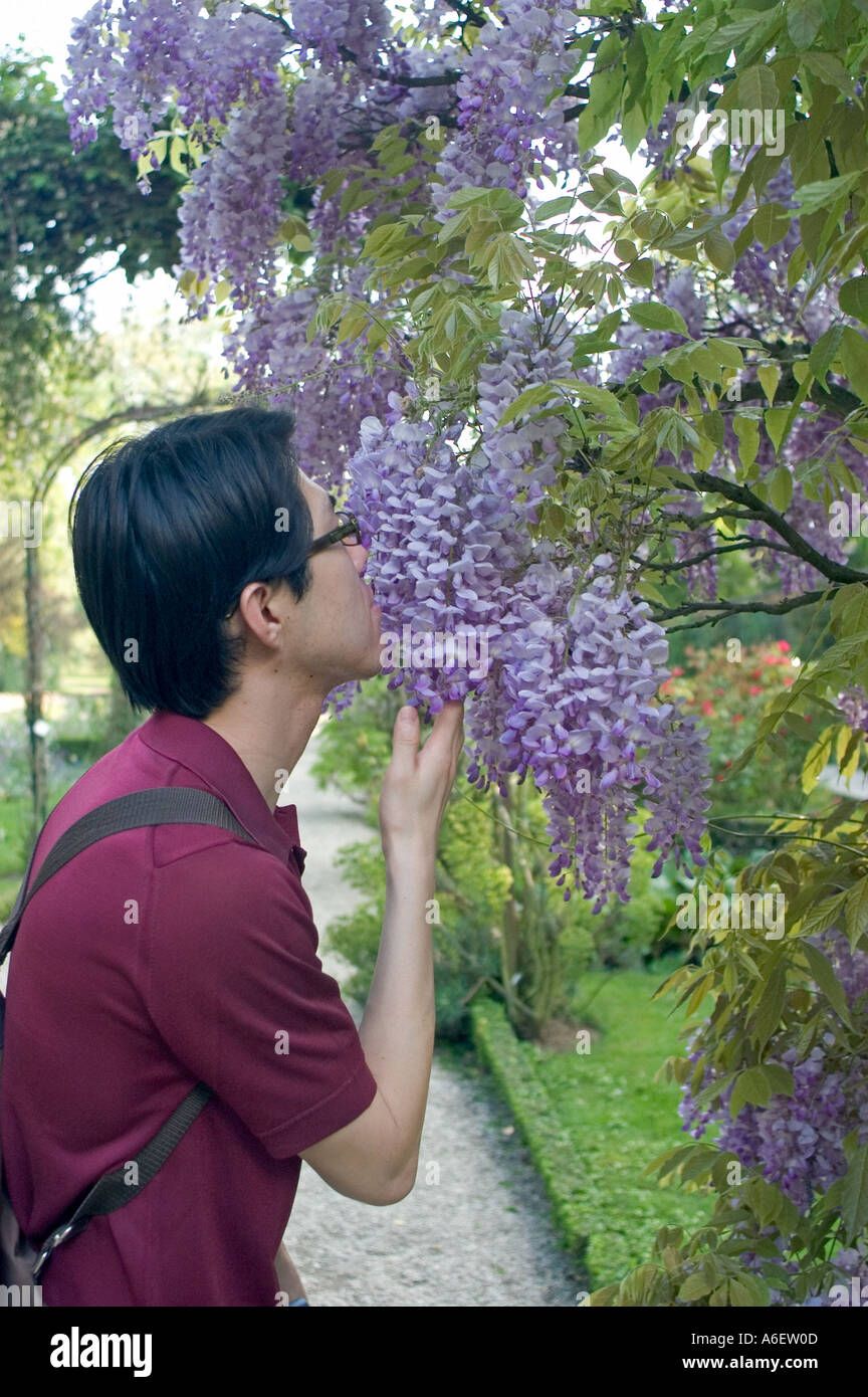 Enjoying Nature, Paris FRANCE, Urban Parks Young ASian Man Smelling ...