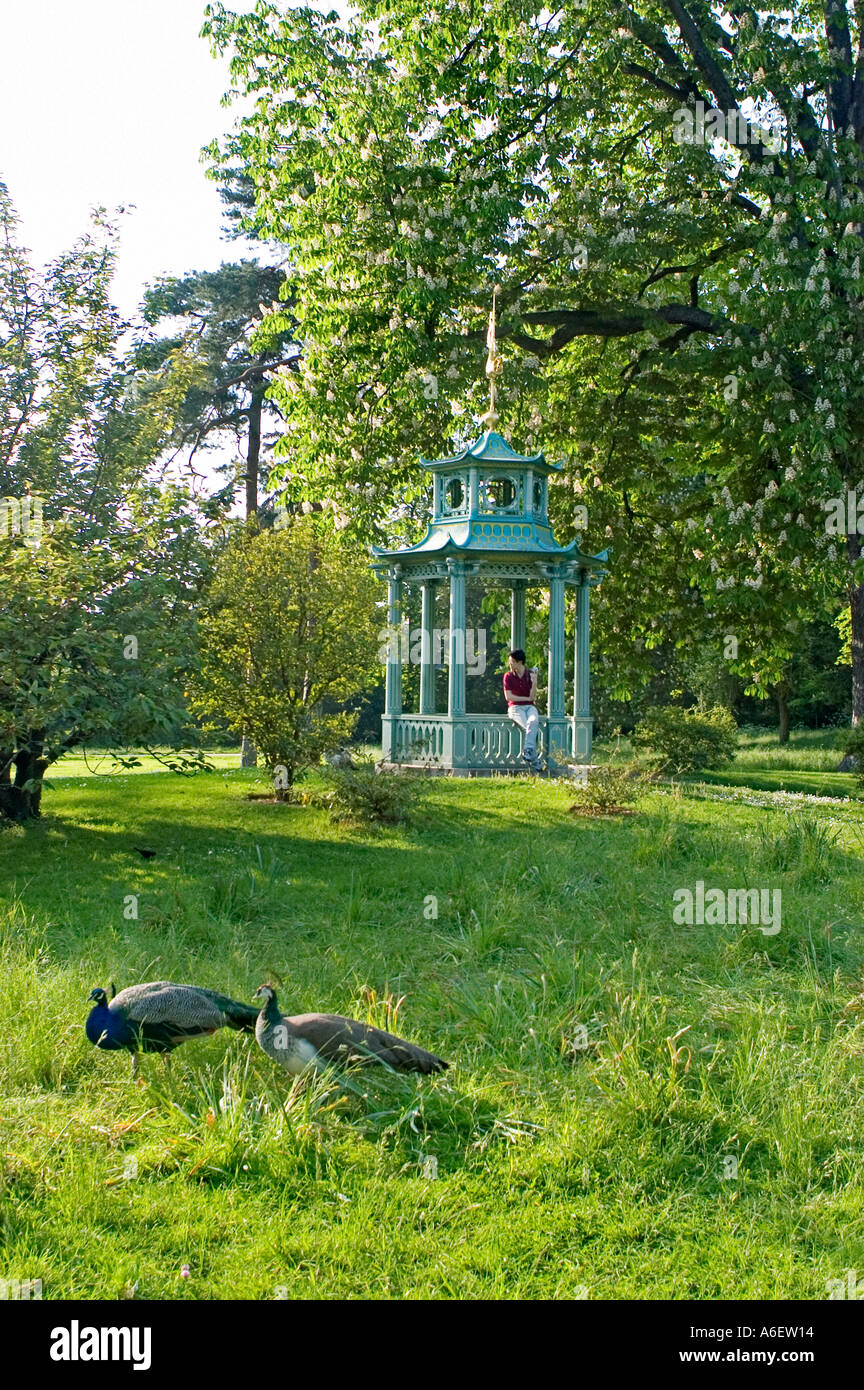 Enjoying nature in Paris FRANCE, Urban Parks Scenic with Pheasant Birds ...