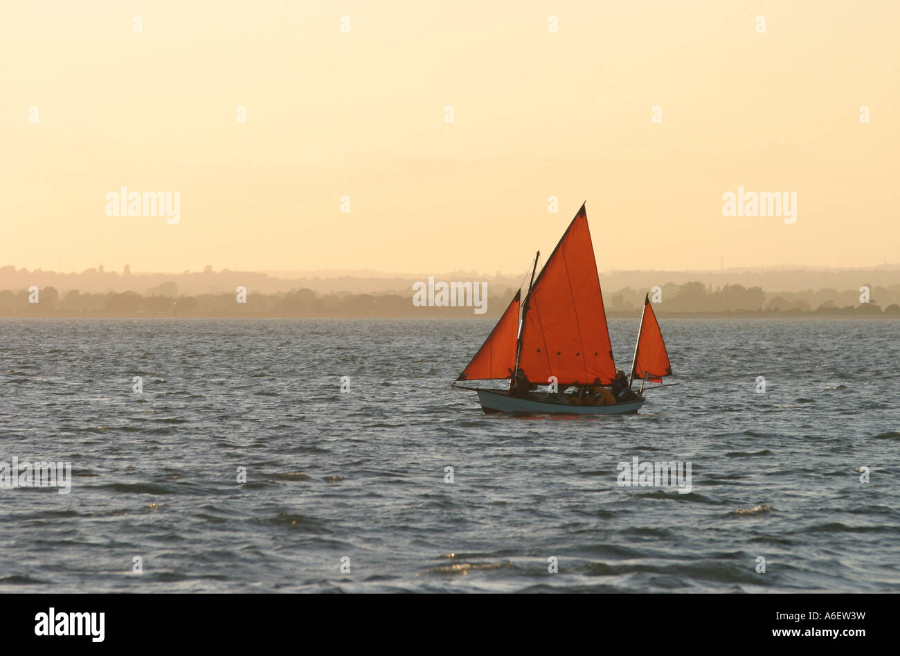 A sailing boat with red sails sailing at sunset, Chichester, Sussex ...