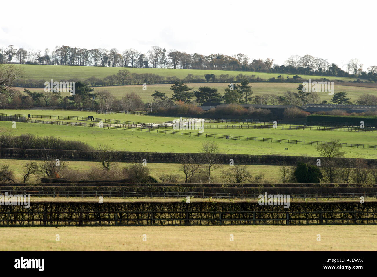 Suffolk england countryside hi-res stock photography and images - Alamy