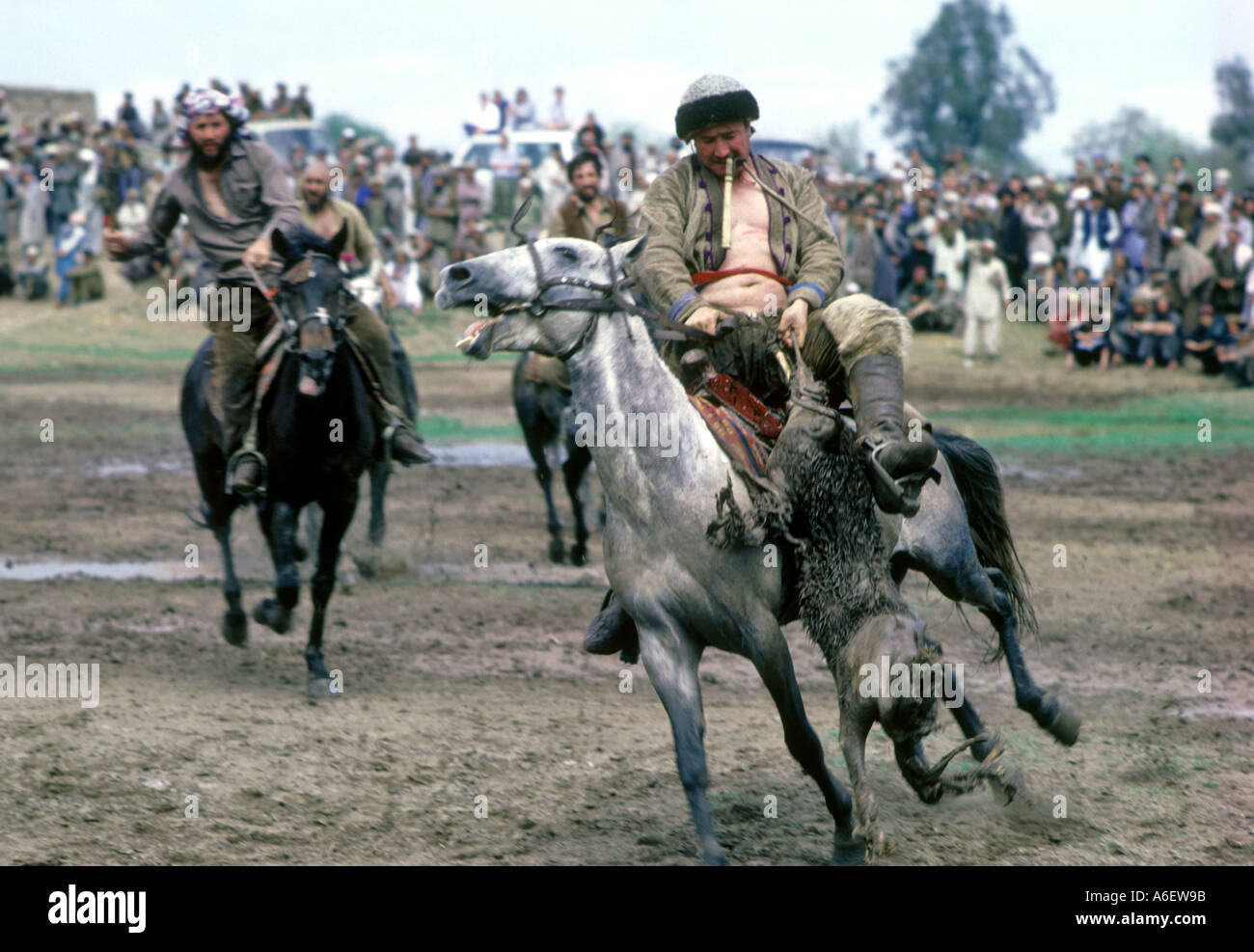 Afghans on horseback playing traditional Buzkashi, the original polo ...