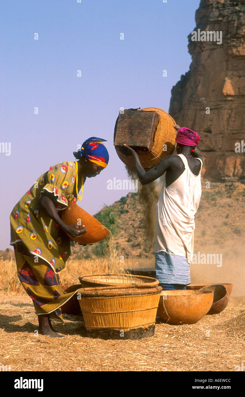 Dogon women winnowing millet in Hombori Mali Stock Photo - Alamy