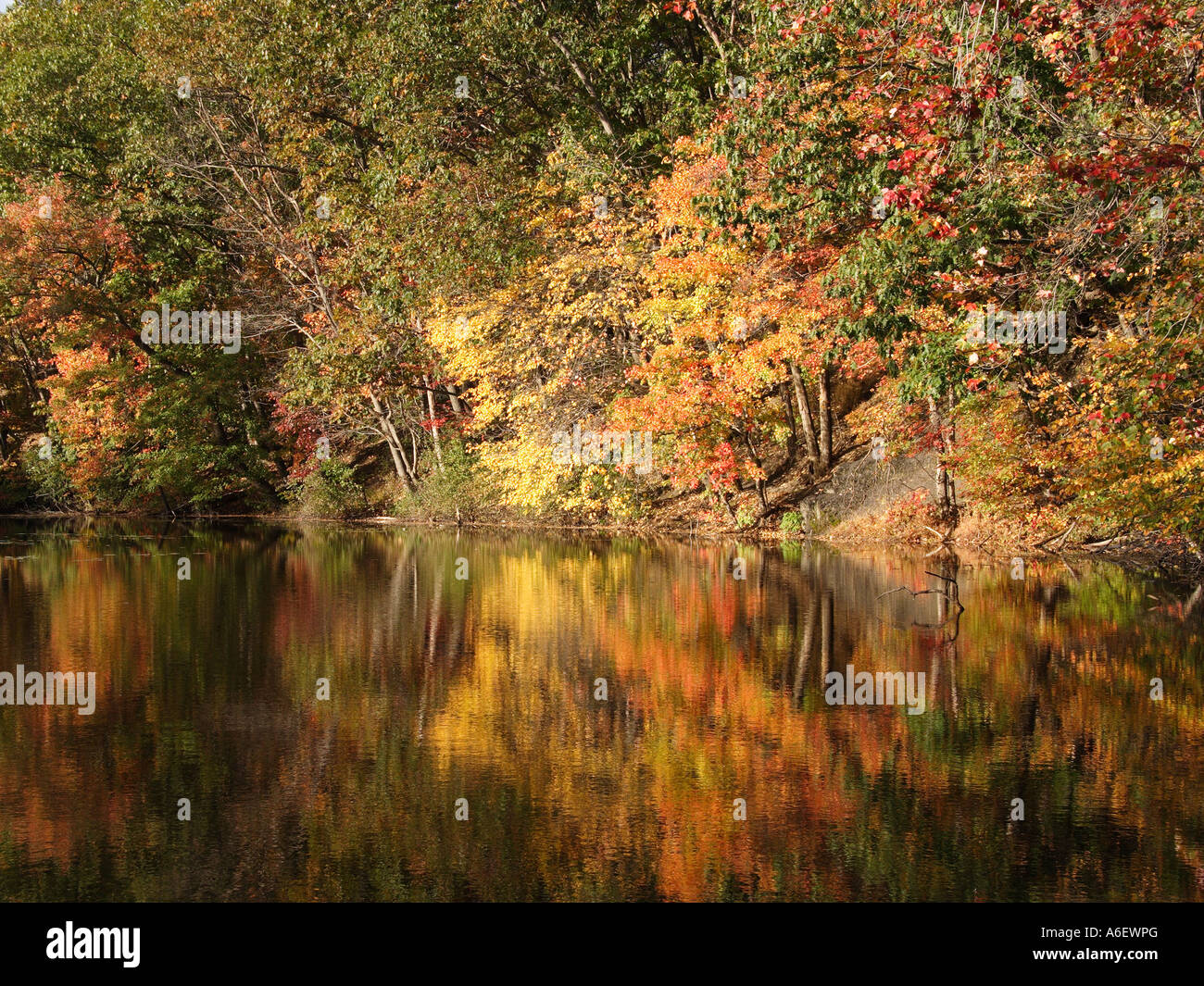 Canal in fall Stock Photo - Alamy