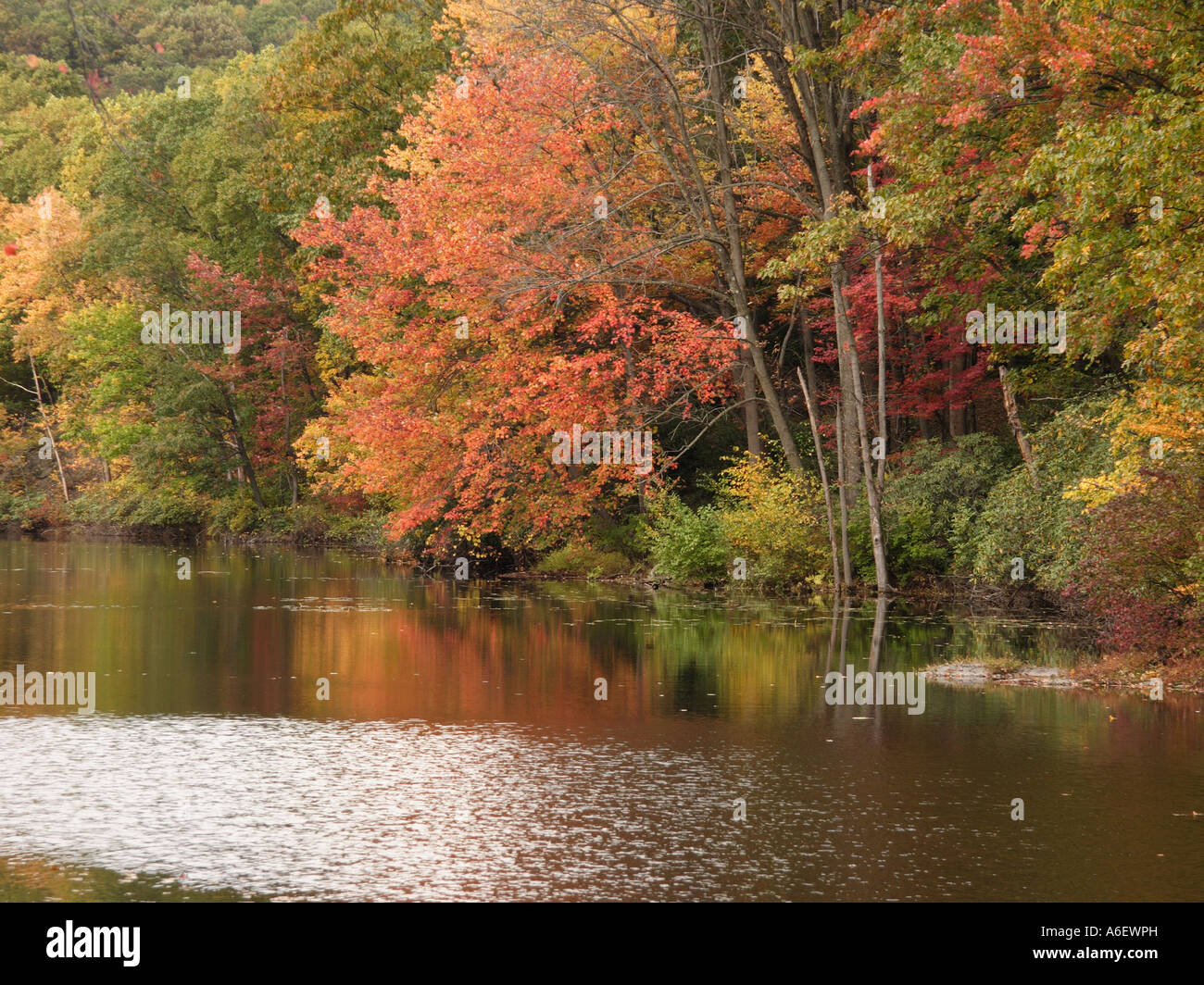 Canal in fall Stock Photo - Alamy