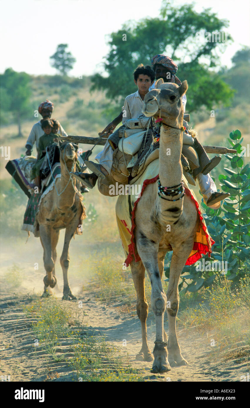 Nomadic fathers and sons riding camels. Thar Desert, Pakistan Stock ...