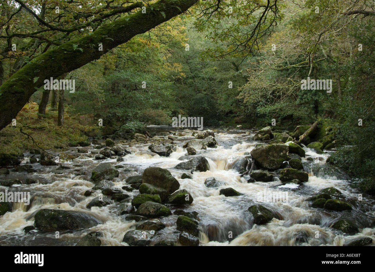 River Plym at Shaugh Bridge, Devon UK Stock Photo - Alamy