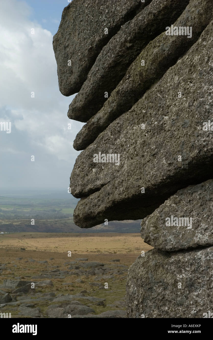 Detail of granite tor on Dartmoor, UK Stock Photo - Alamy