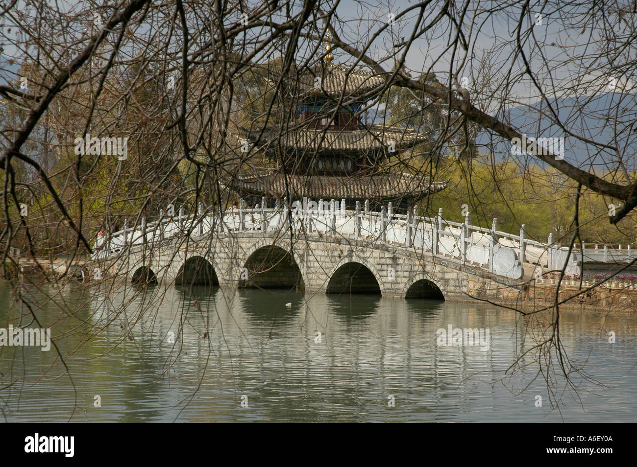 A bridge in Black Dragon Pool Park Lijiang Yunnan province China Stock ...
