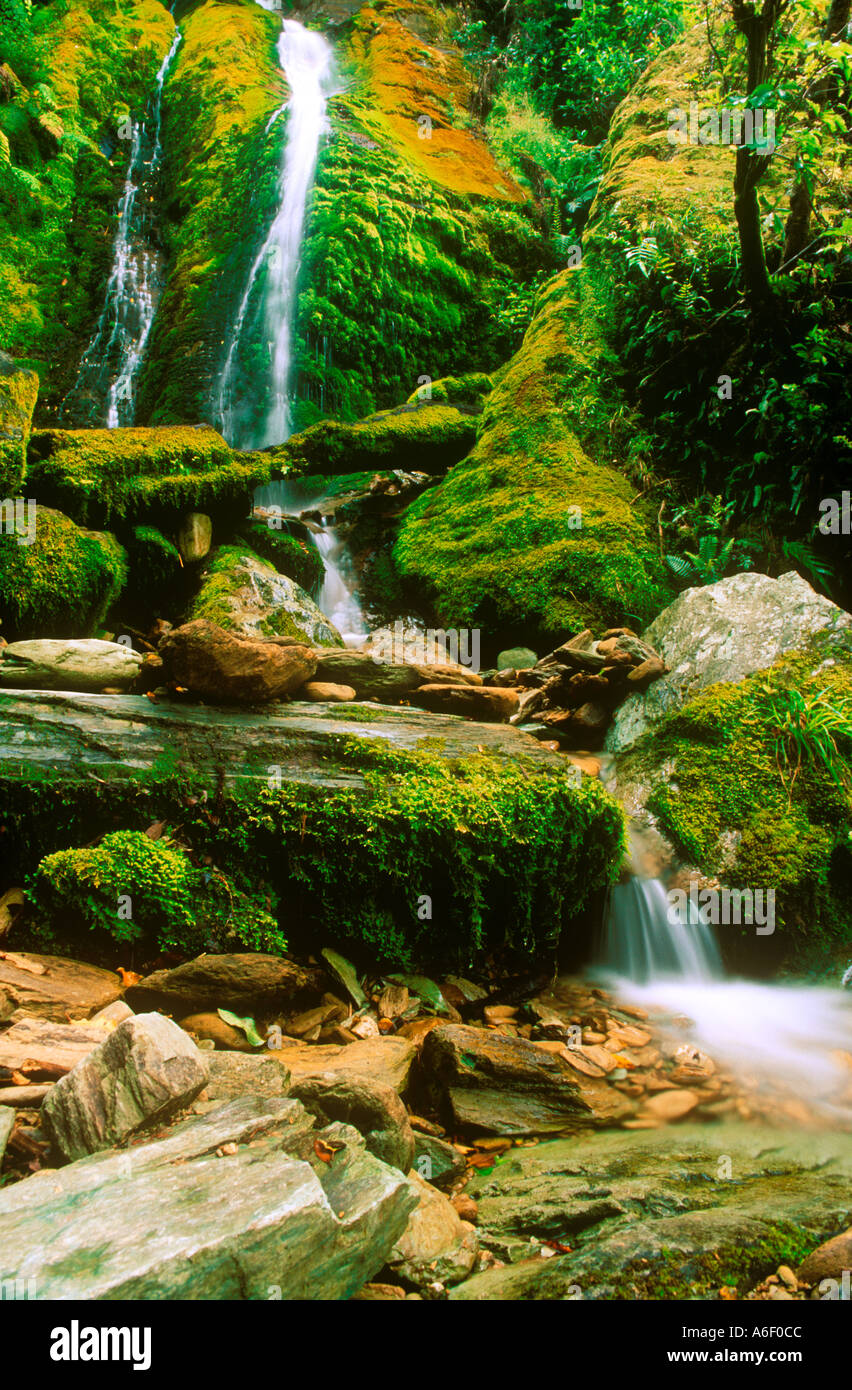 NEW ZEALAND MARLBOROUGH QUEEN CHARLOTTE TRACK Waterfall located on a ...
