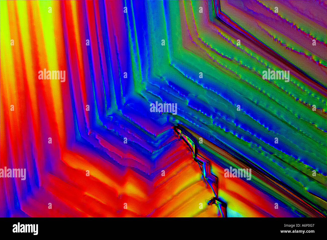 Photomicrograph of Naphthalene crystals under polarised light with ...