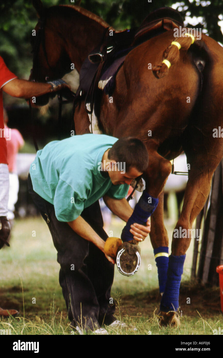 Stable boy with horse Polo Club Stock Photo - Alamy