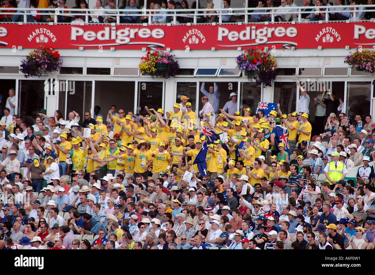 Australian supporters at test match Stock Photo - Alamy