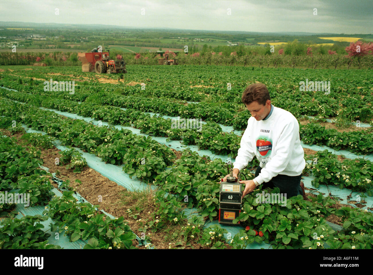 A UK strawberry grower using a neutron probe to measure soil moisture ...