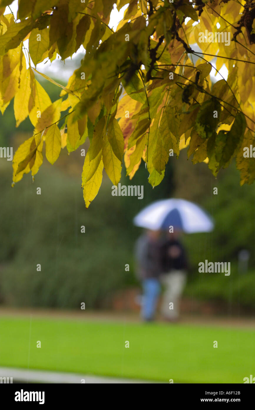 Whatever the weather Wisley in the rain Stock Photo - Alamy