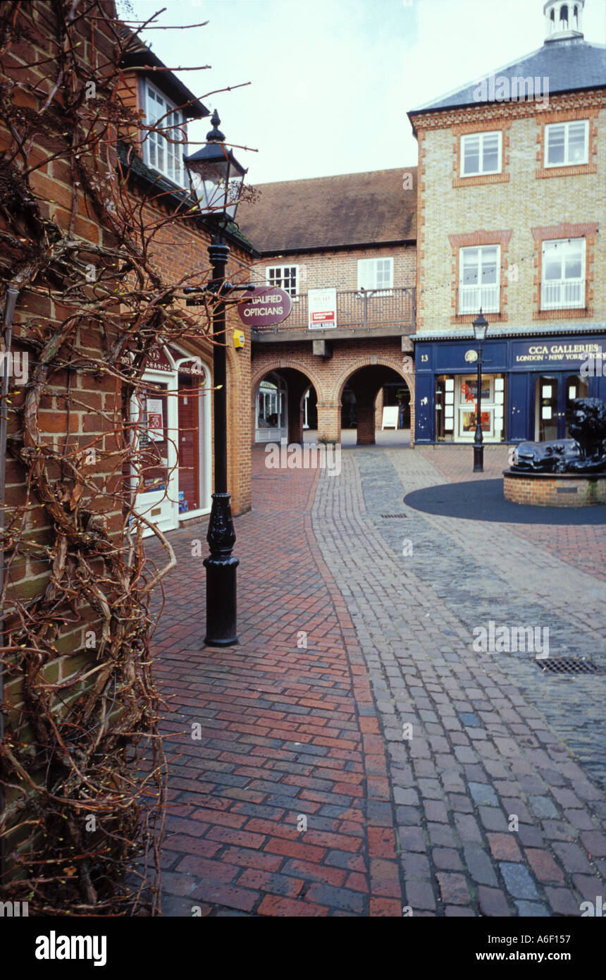 Lion and Lamb Centre Farnham Stock Photo - Alamy