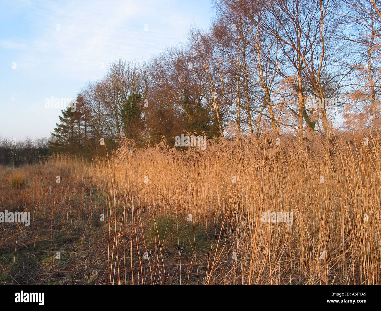 Spring Countryside Scene Stock Photo - Alamy