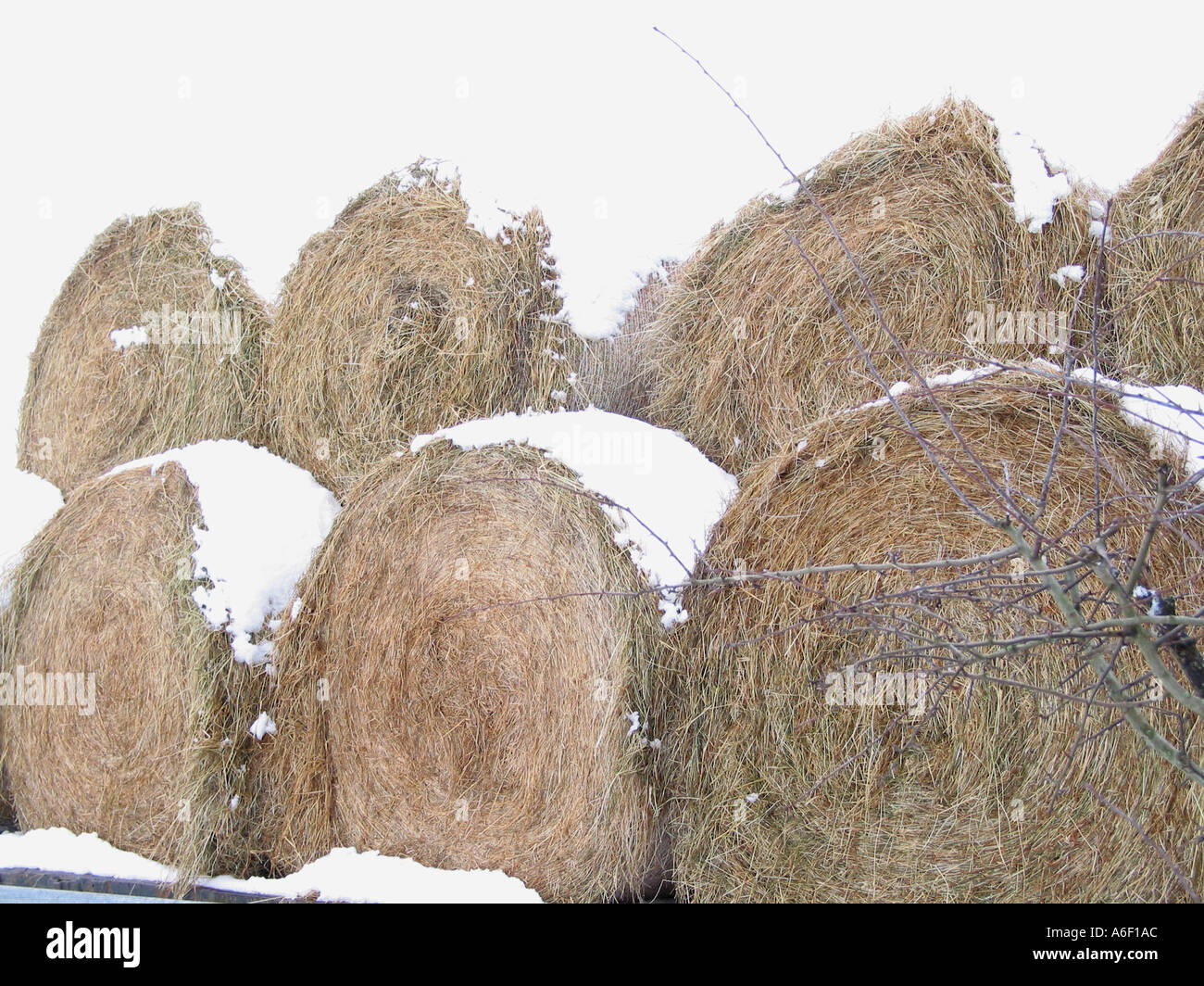 Round Bales Hay Snow Covered High Resolution Stock Photography and ...